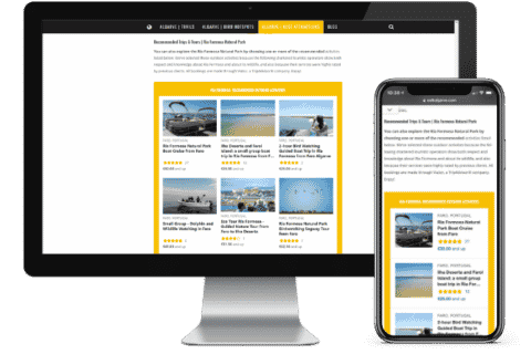 Best practices for widgets - Viator Partner Resource Center