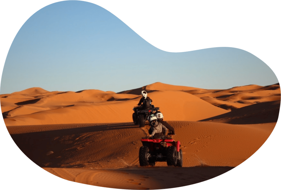 Earn more with Viator Affiliate Links - Viator Partner Program - Sign up